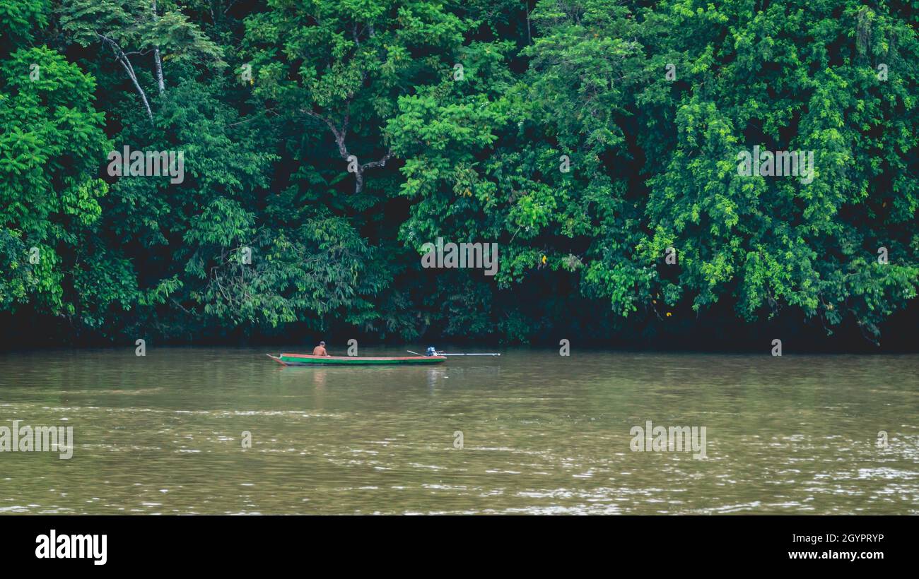 Traditional Dayak fisherman catching fish in upper Mahakam river Stock ...