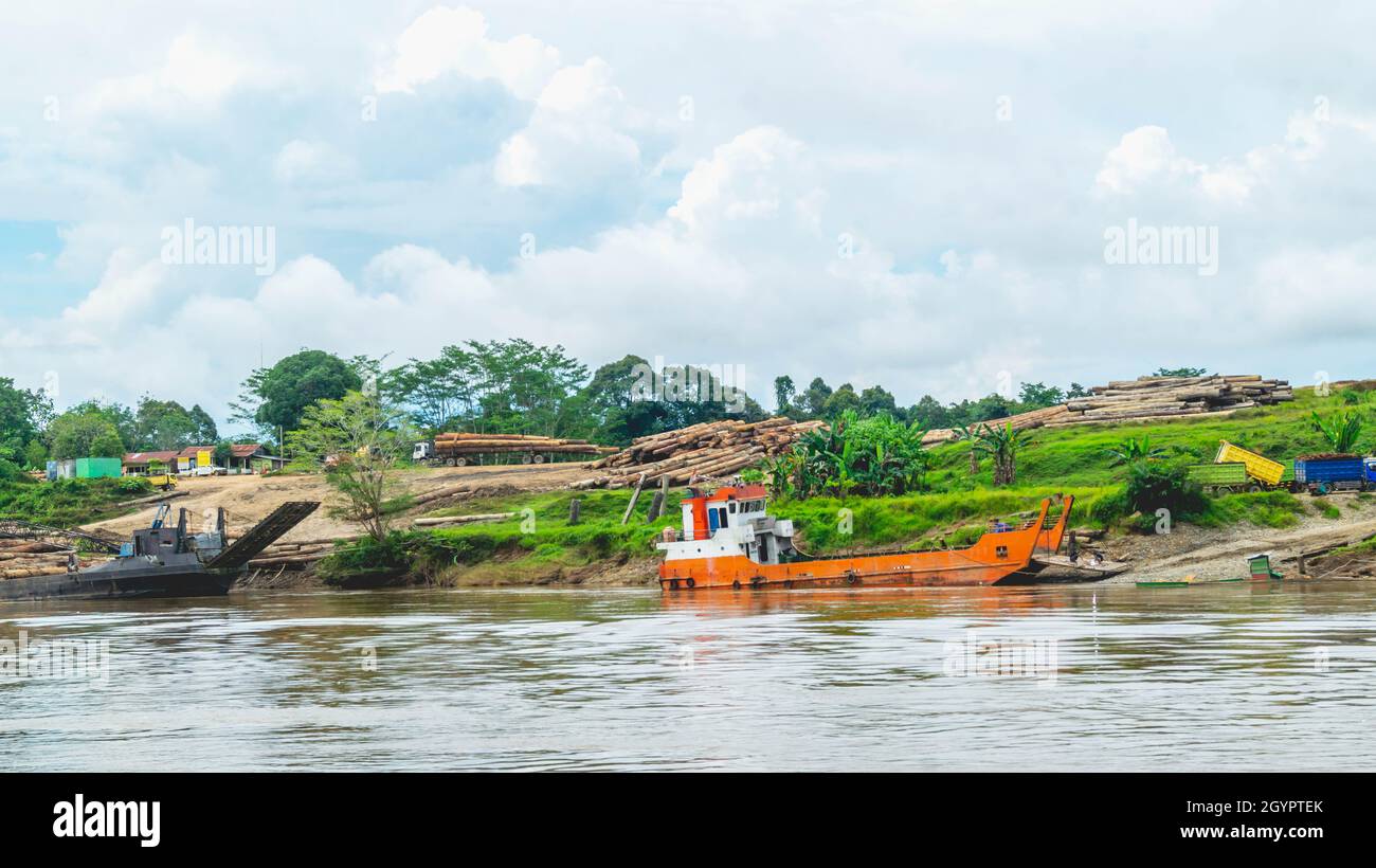 Timber loaded into big barge then drag by a tugboat cruising Mahakam ...