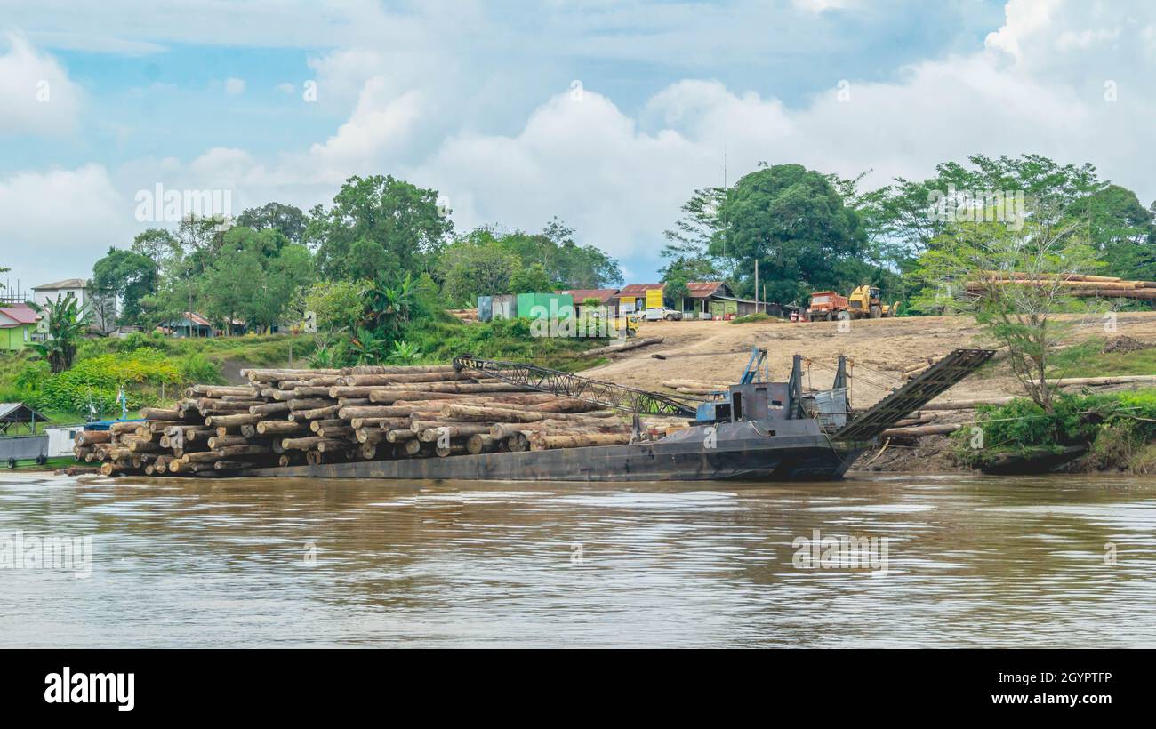 Timber loaded into big barge then drag by a tugboat cruising Mahakam ...