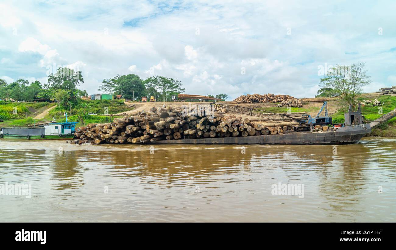 Timber loaded into big barge then drag by a tugboat cruising Mahakam ...