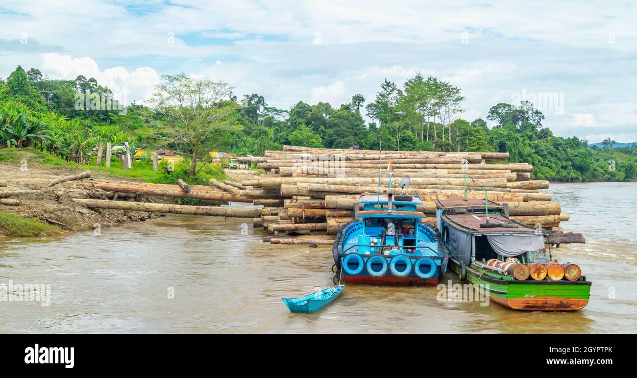 Timber loaded into big barge then drag by a tugboat cruising Mahakam ...