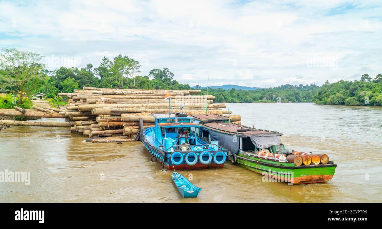 Timber loaded into big barge then drag by a tugboat cruising Mahakam ...