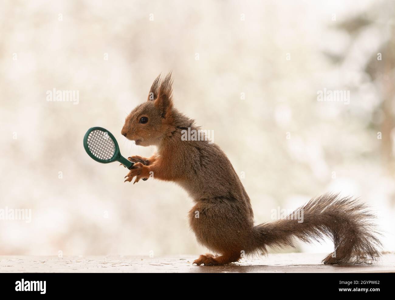 Clay ball hands hi-res stock photography and images - Alamy