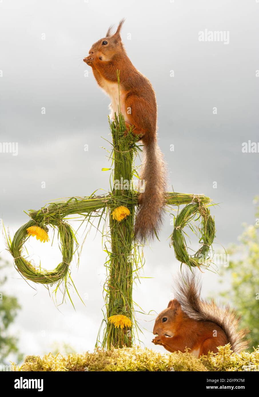 Summer solstice fun hi-res stock photography and images - Alamy