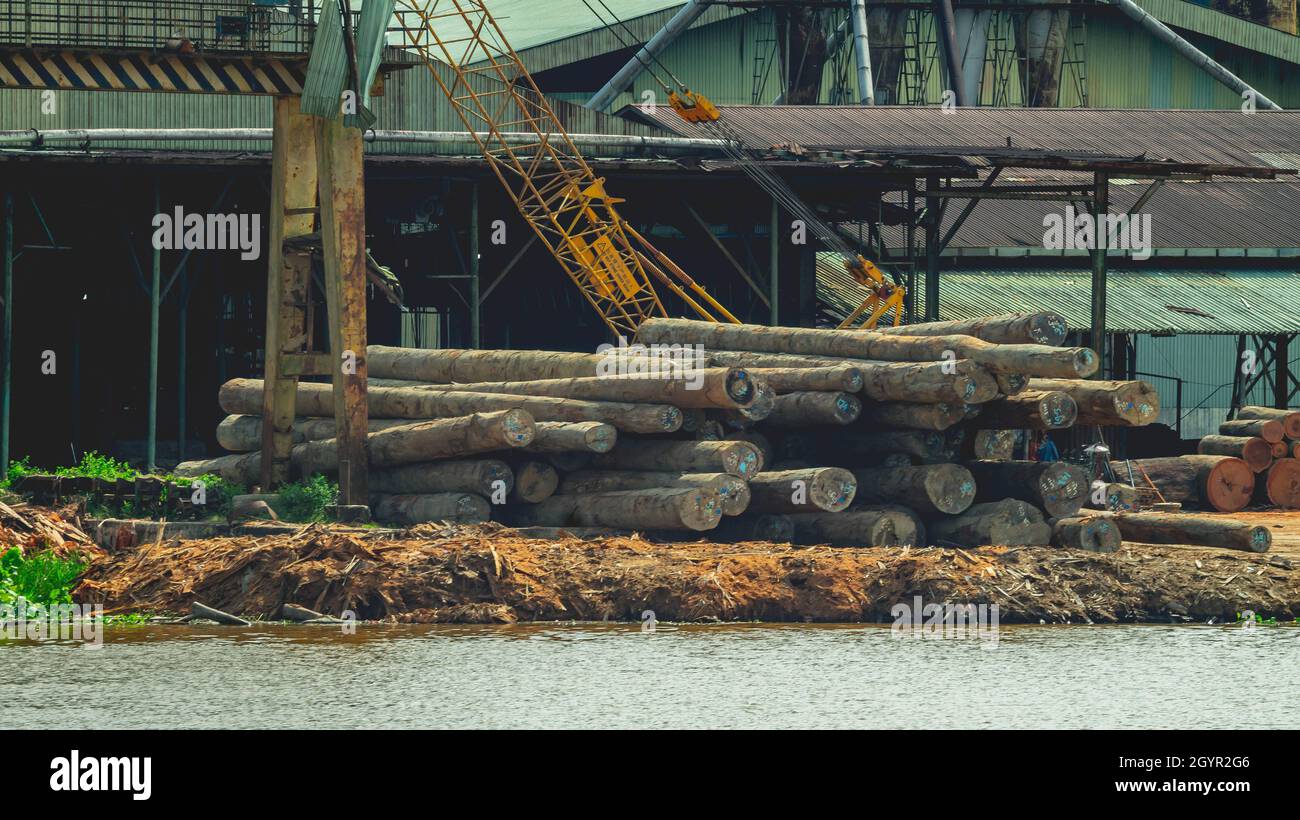Timber loaded into big barge then drag by a tugboat cruising Mahakam ...