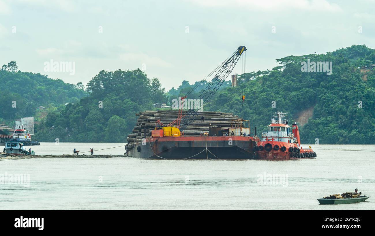 Timber loaded into big barge then drag by a tugboat cruising Mahakam ...