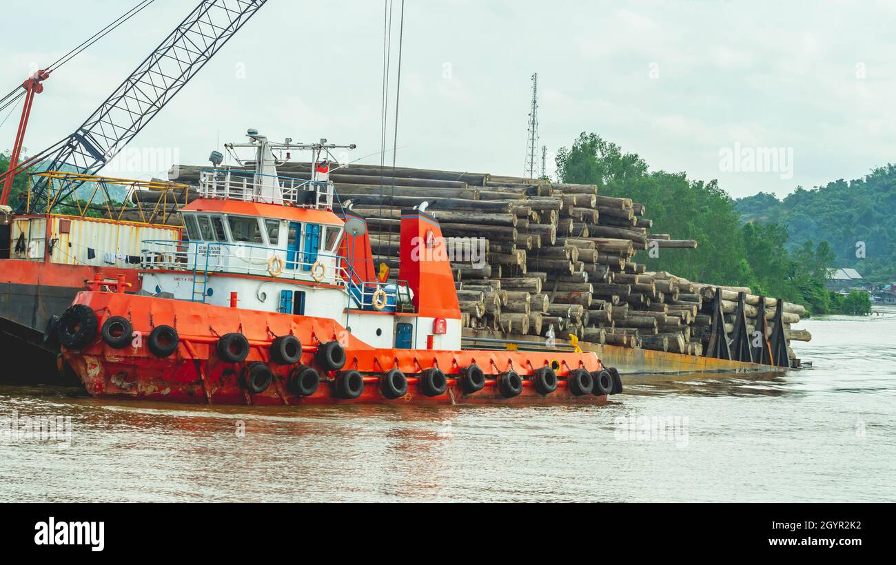 Timber loaded into big barge then drag by a tugboat cruising Mahakam ...