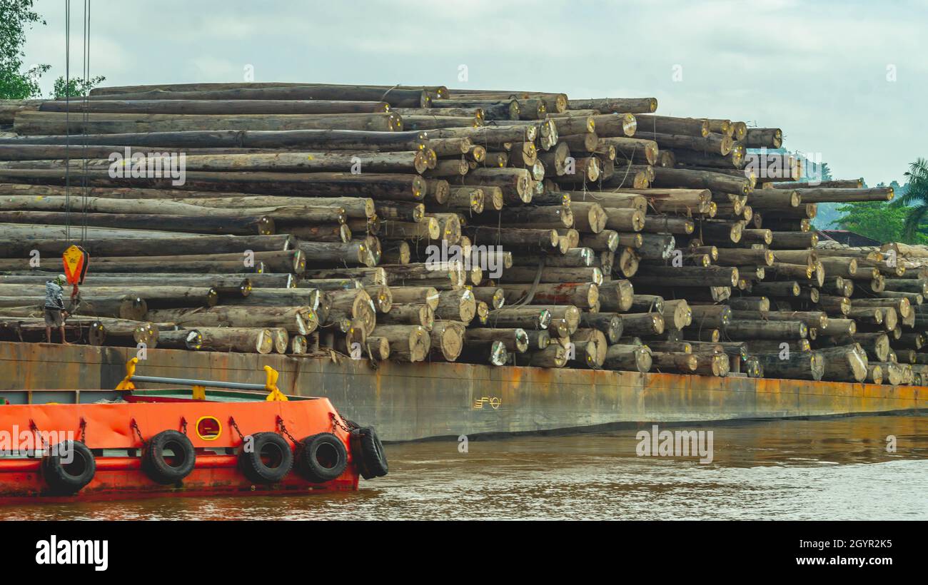 Timber loaded into big barge then drag by a tugboat cruising Mahakam ...