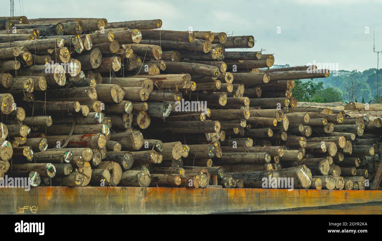Timber loaded into big barge then drag by a tugboat cruising Mahakam ...