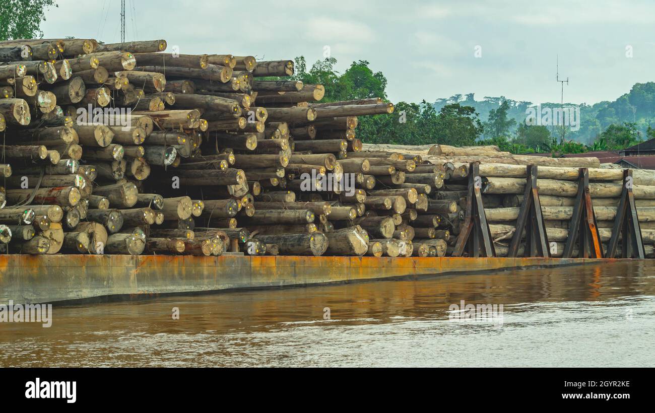 Timber loaded into big barge then drag by a tugboat cruising Mahakam ...