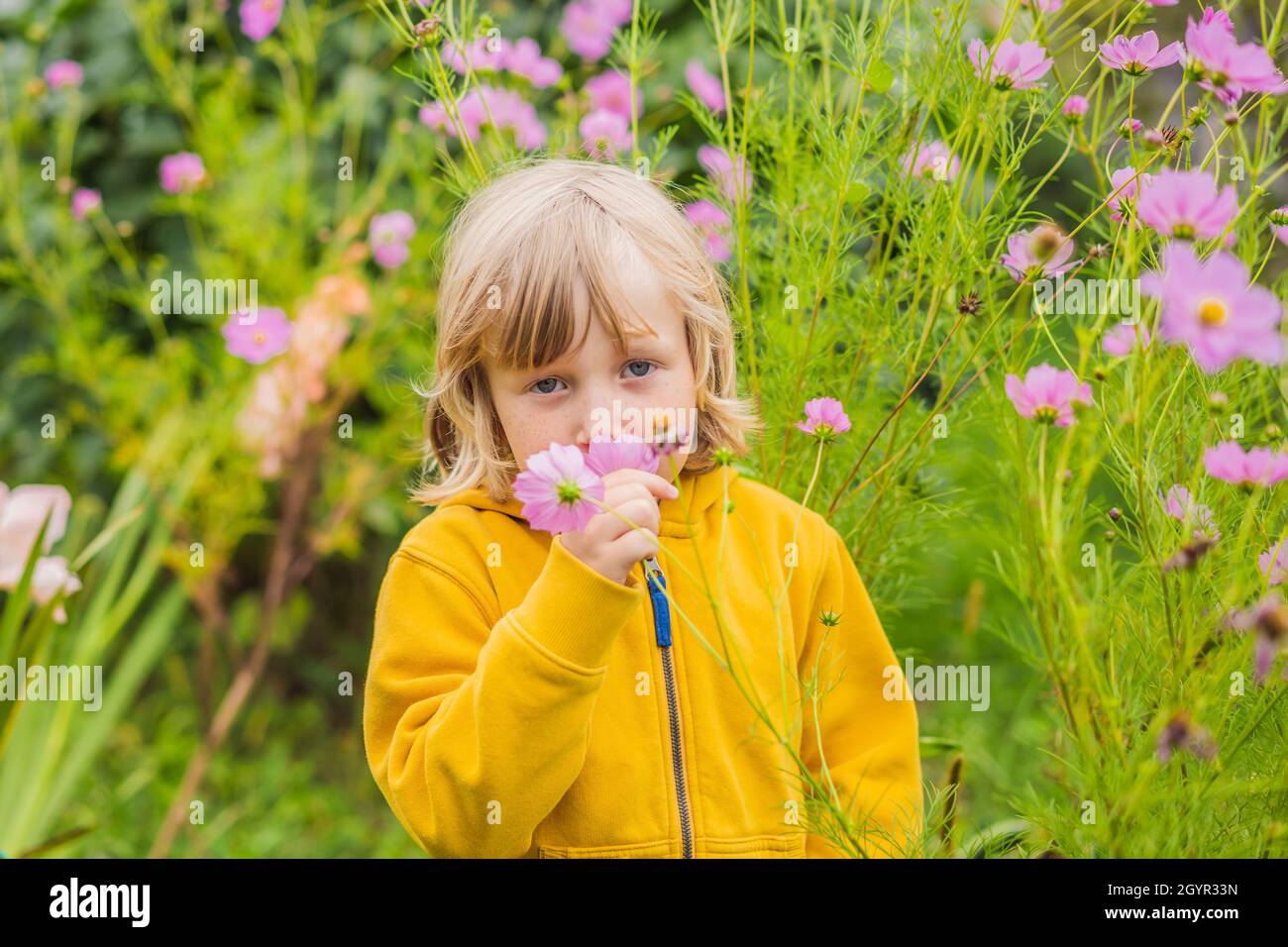Boy enjoying pink flowers in the garden Stock Photo - Alamy