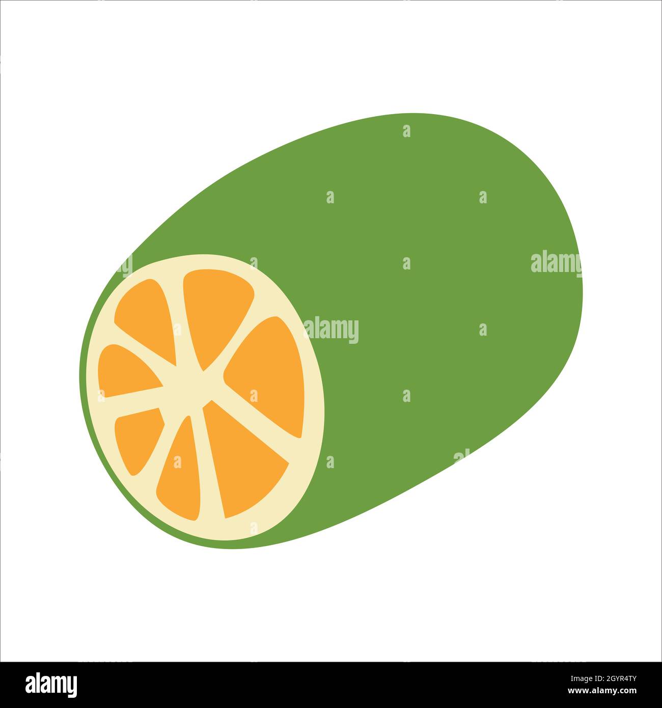 Vector image of a slice of lime isolated on a white background with a ...