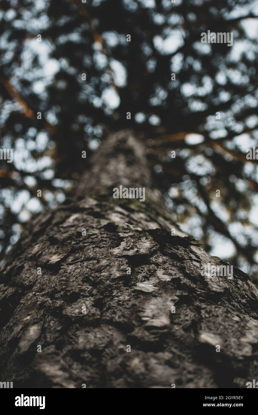 Lower angle hi-res stock photography and images - Alamy