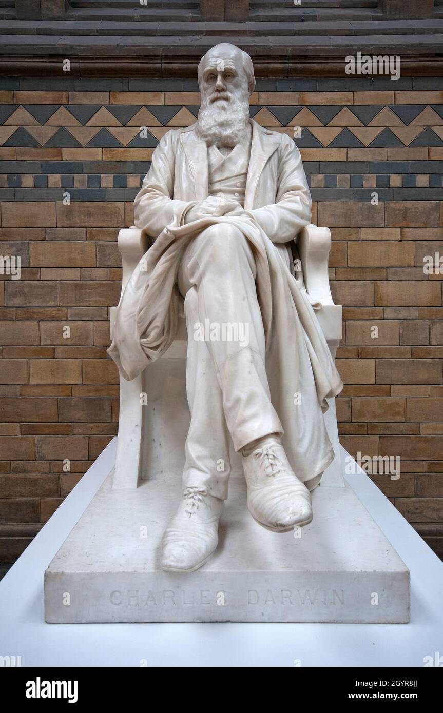 Marble statue of Charles Darwin (1809-1882) by Joseph Edgar Boehm ...