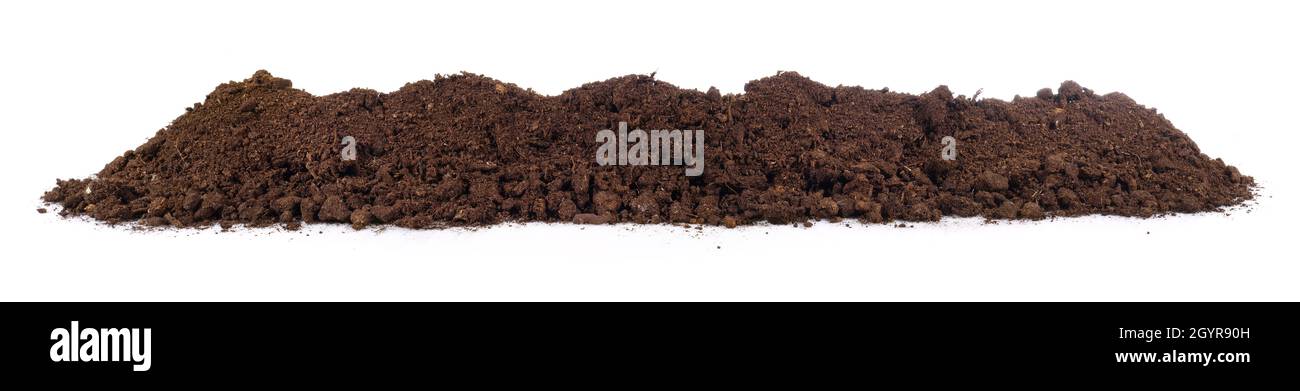 Soil Banner isolated on white Background - Panorama Stock Photo - Alamy