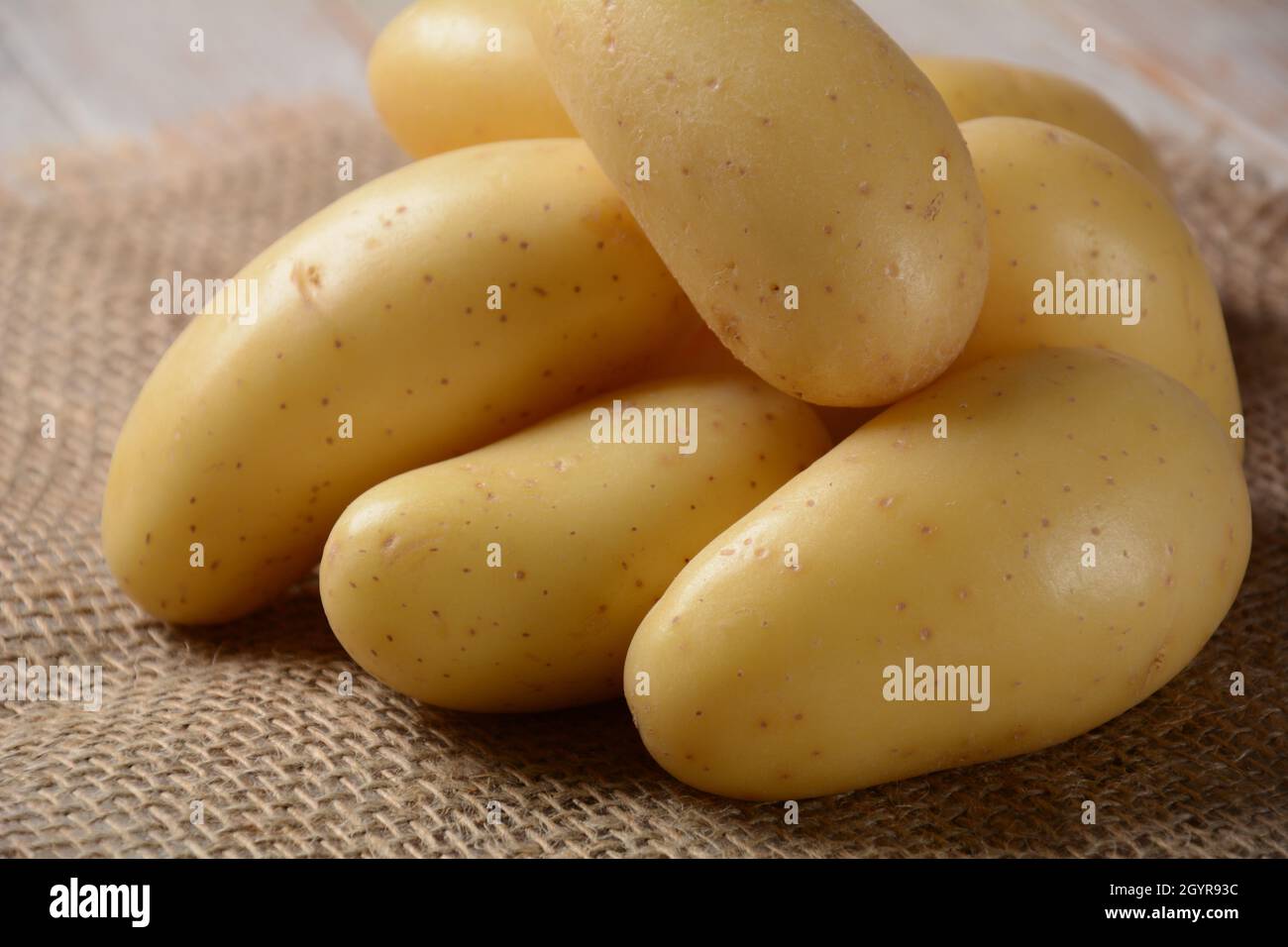 Little yellow potatoes clean ready for cooking on burlap sack as ...