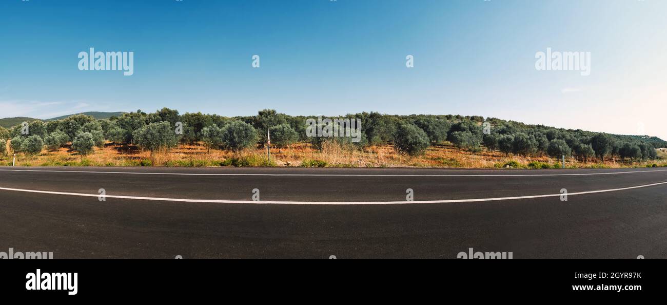 Panoramic landscape olive farm hi-res stock photography and images - Alamy