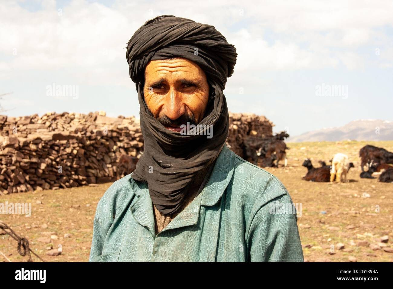 Portrait of a Moroccan shepherd and his herd of goats Stock Photo - Alamy