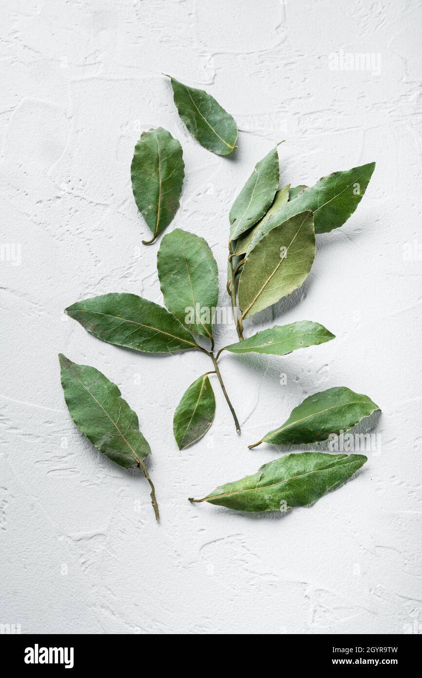 Aromatic organic bay leaves set, on white stone background Stock Photo ...