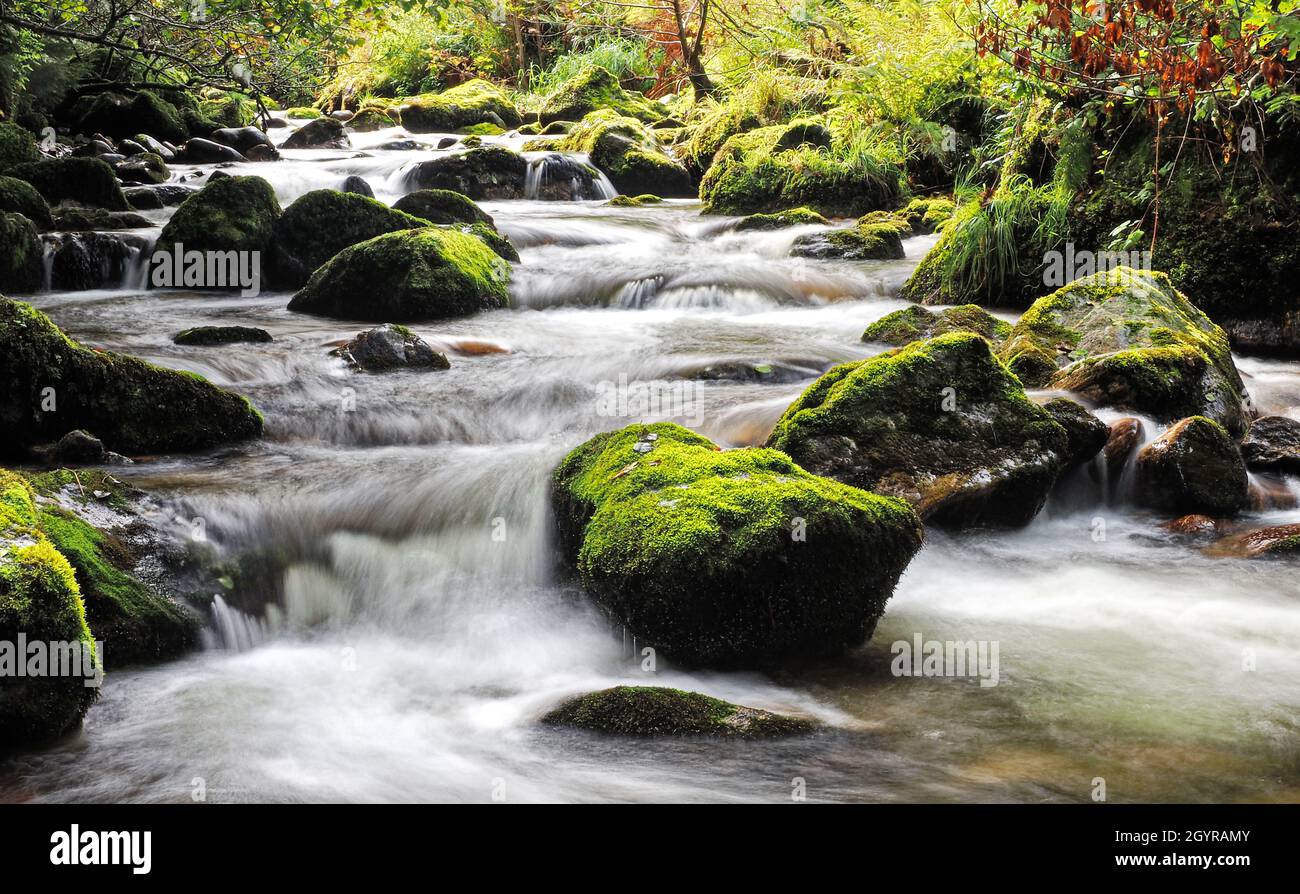 Clear Mountain Stream in Summer - Motion blur Stock Photo - Alamy