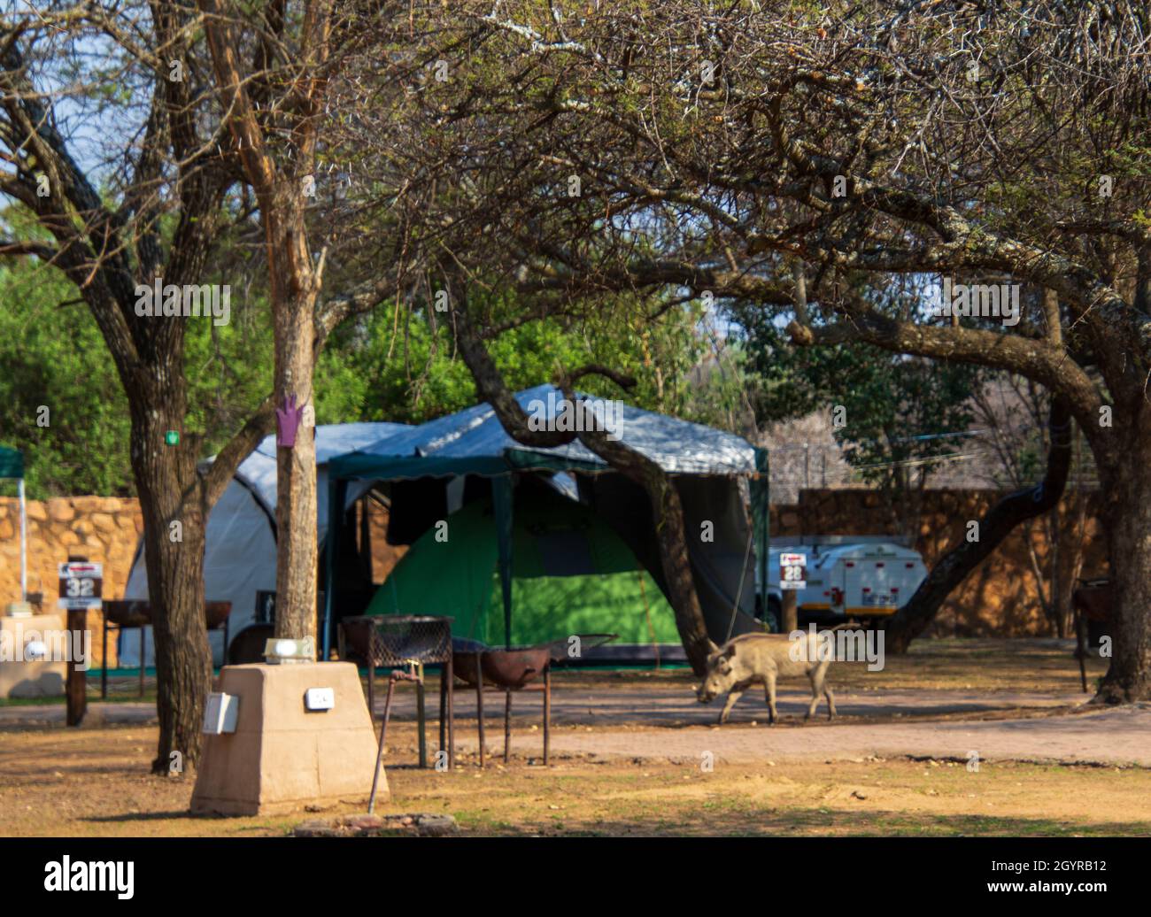 Bela Bela, South Africa - camping and caravan holidays are popular with ...