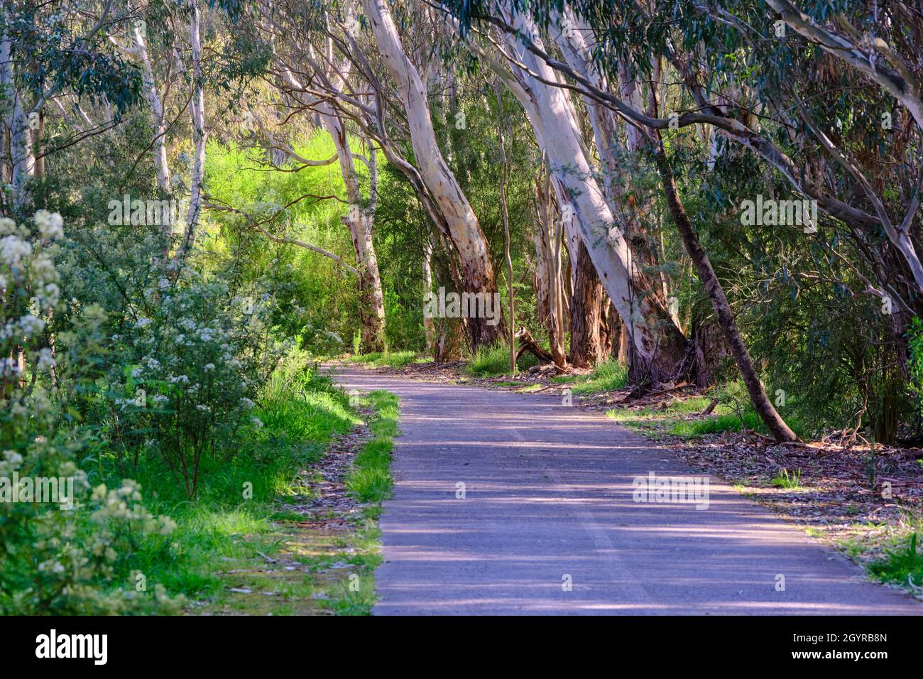 Melbourne yarra trail bike hi-res stock photography and images - Alamy