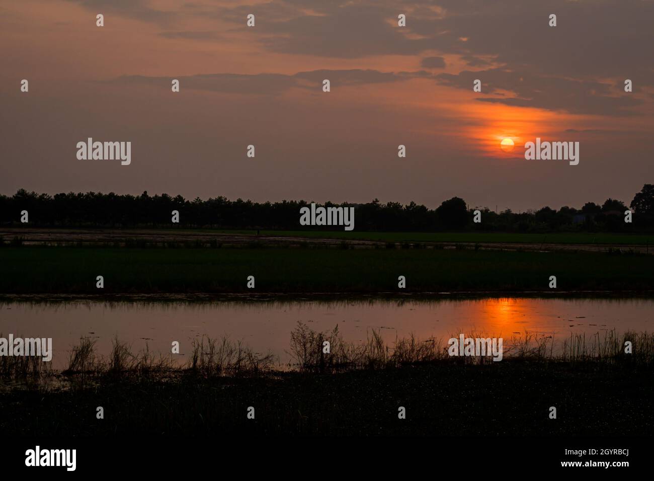 Dramatic sunset landscape with dark sky, silhouettes of trees and lake ...