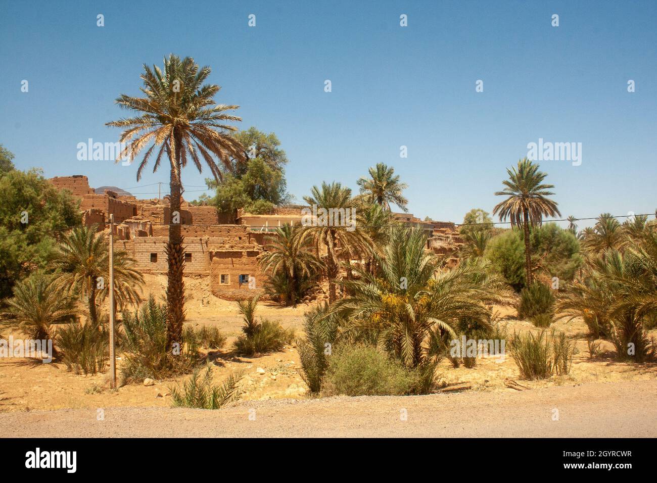 Sahara Desert Oasis and Landscape Photographed in Morocco Stock Photo ...