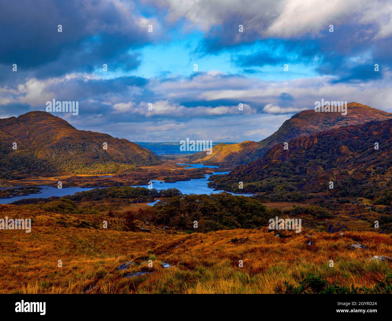 Ladies View, Killarney National Park, County Kerry, Ireland Stock Photo ...
