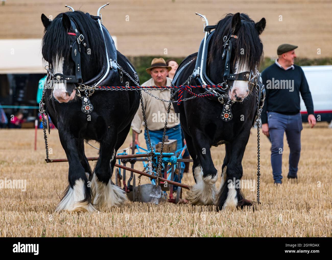 Traditional plough hi-res stock photography and images - Alamy
