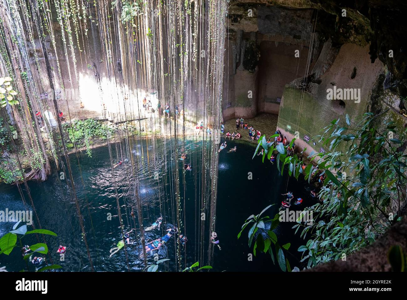 Person swimming in cenote hi-res stock photography and images - Alamy