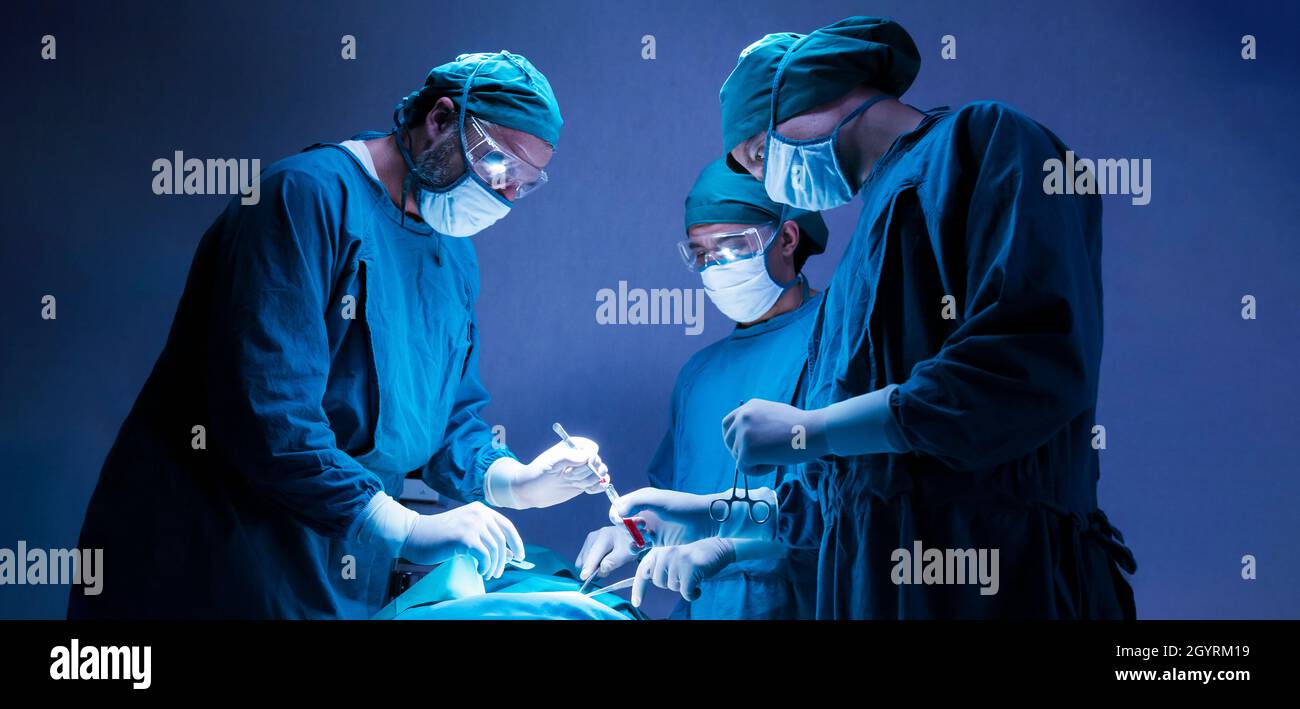 concentrated professional surgical doctor team operating surgery a ...