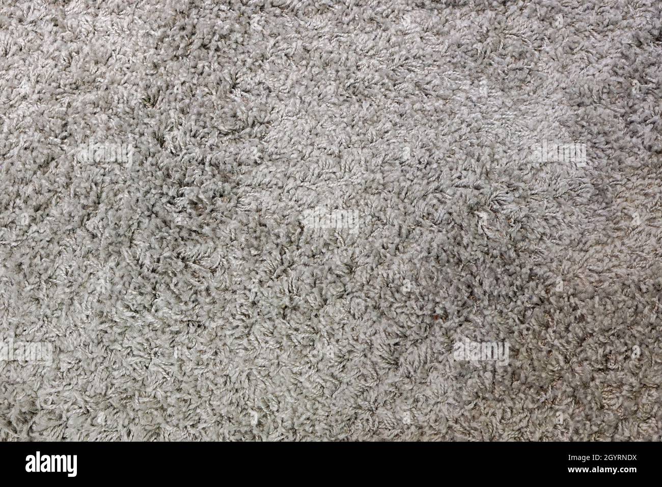 Wool carpet for home floor texture background Stock Photo - Alamy