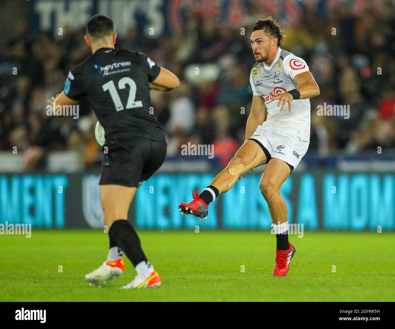 Boeta chamberlain sharks hi-res stock photography and images - Alamy