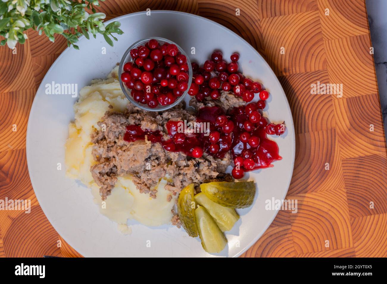 Sauteed reindeer hi-res stock photography and images - Alamy