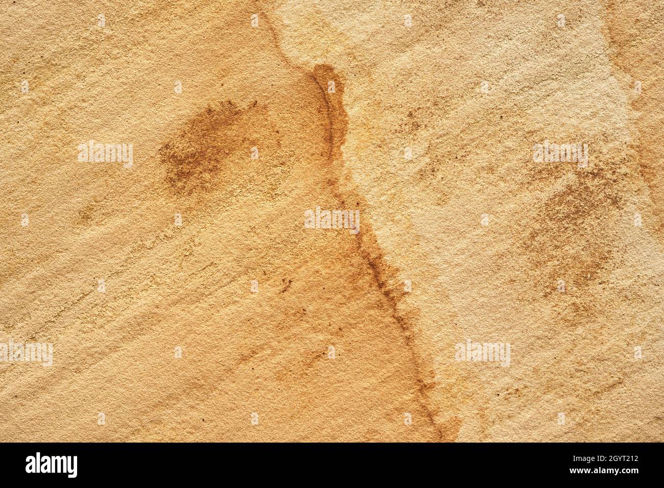 Ceramic porcelain stoneware wall tile detail with textured natural ...