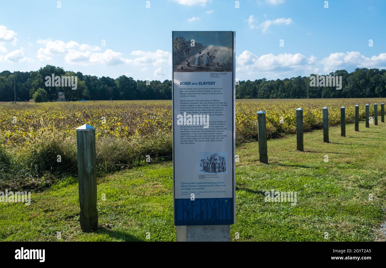 Harriet Tubman Sign 'Born into Slavery' in Dorchester County, Maryland ...