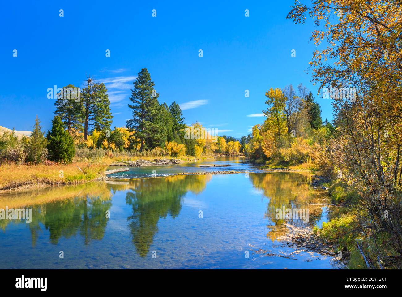 fall colors along the blackfoot river near ovando, montana Stock Photo ...