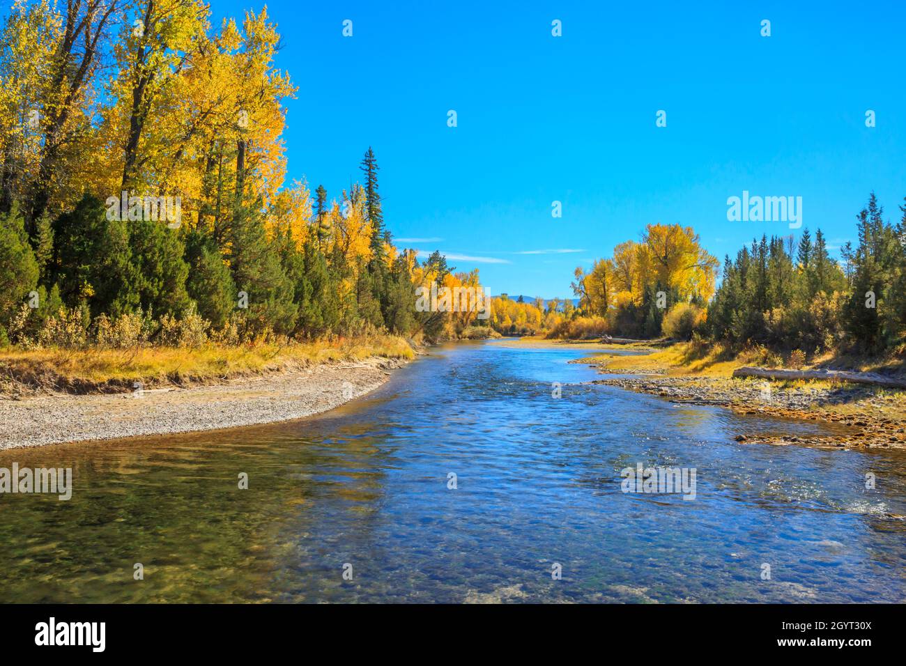 fall colors along the blackfoot river near ovando, montana Stock Photo ...