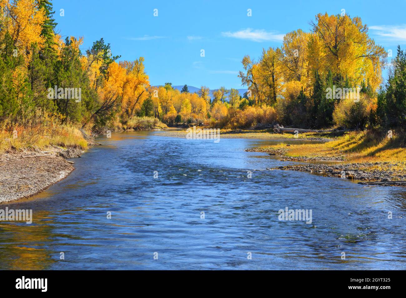 fall colors along the blackfoot river near ovando, montana Stock Photo ...