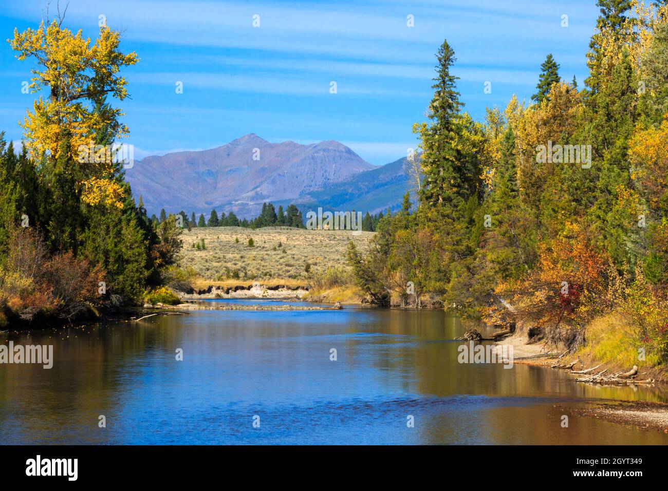 fall colors along the blackfoot river near ovando, montana Stock Photo ...
