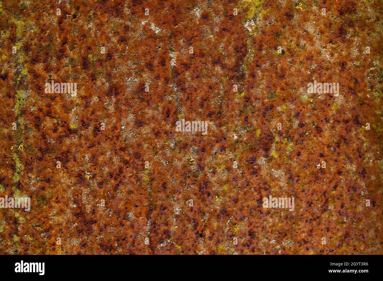 Old weathered corroded metal sheet with mold, grunge background or ...