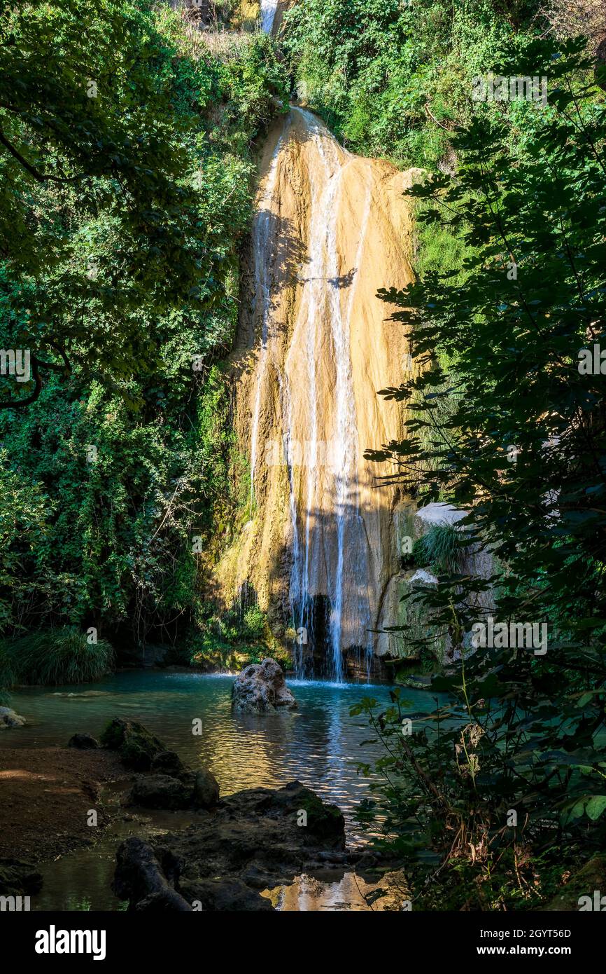Stenosia hi-res stock photography and images - Alamy