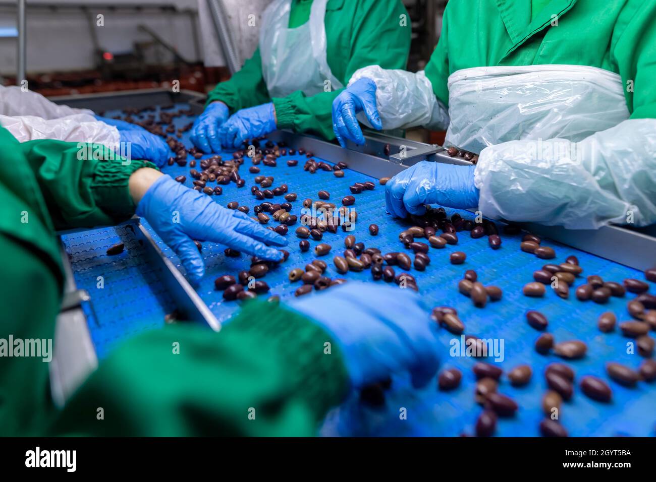 Processing olives hi-res stock photography and images - Alamy