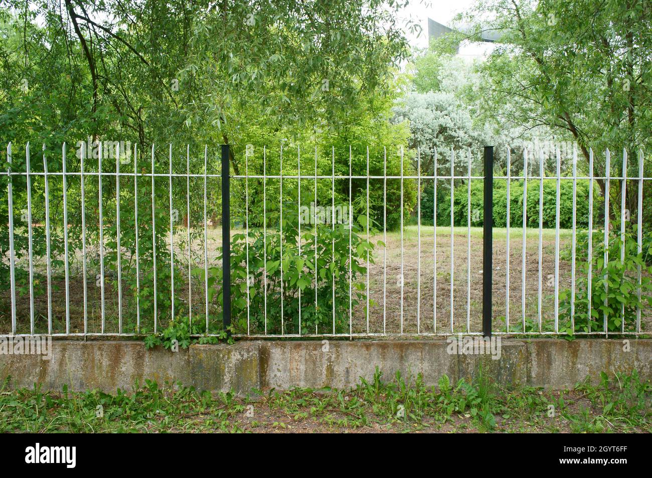 Metal fence with green vegetation Stock Photo - Alamy
