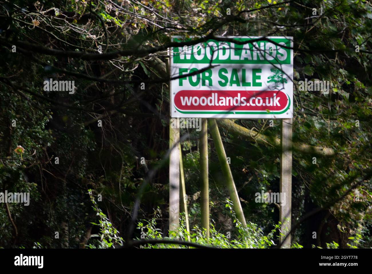 Woodland for sale sign Stock Photo - Alamy