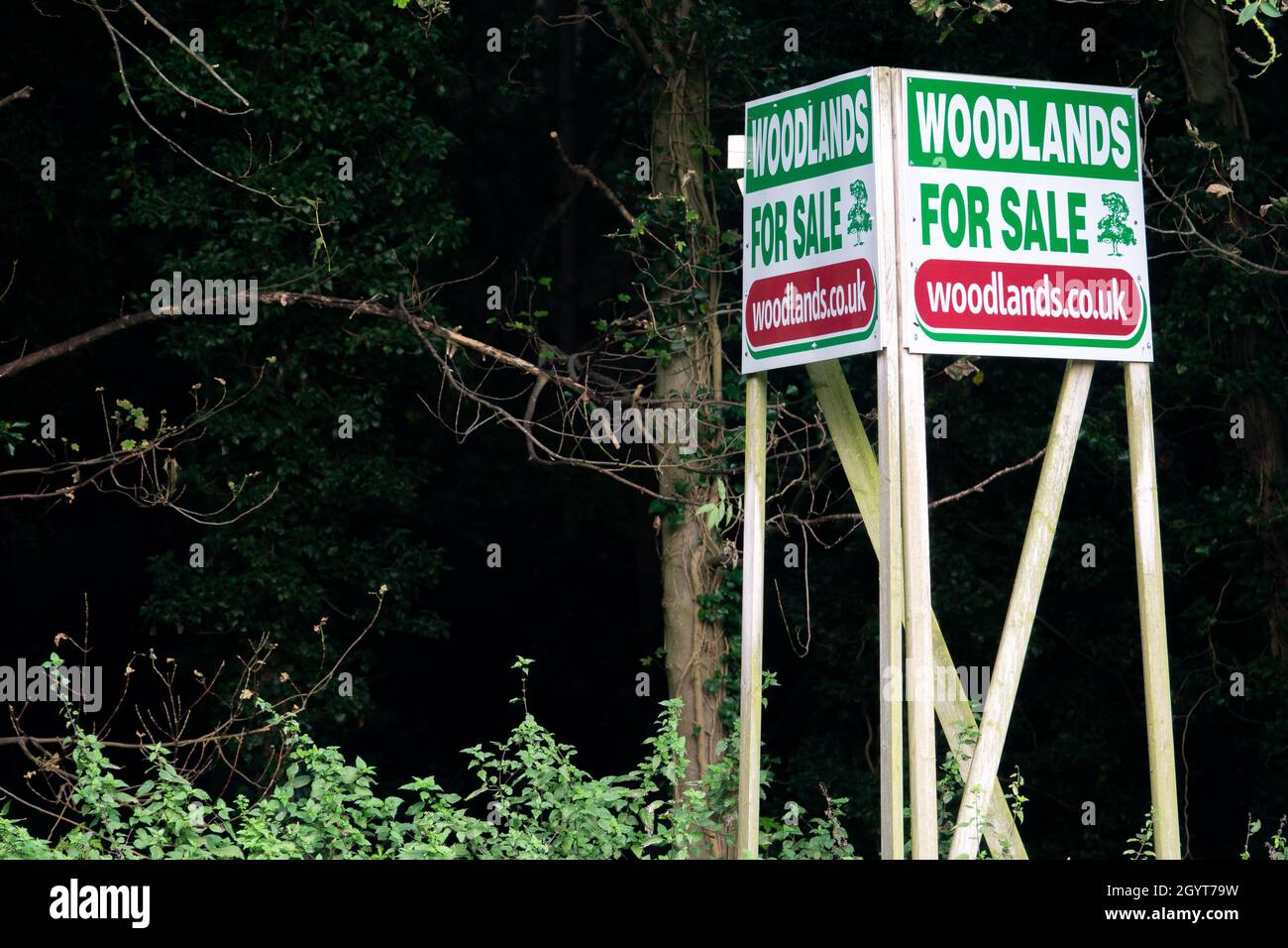 Woodland for sale sign Stock Photo - Alamy