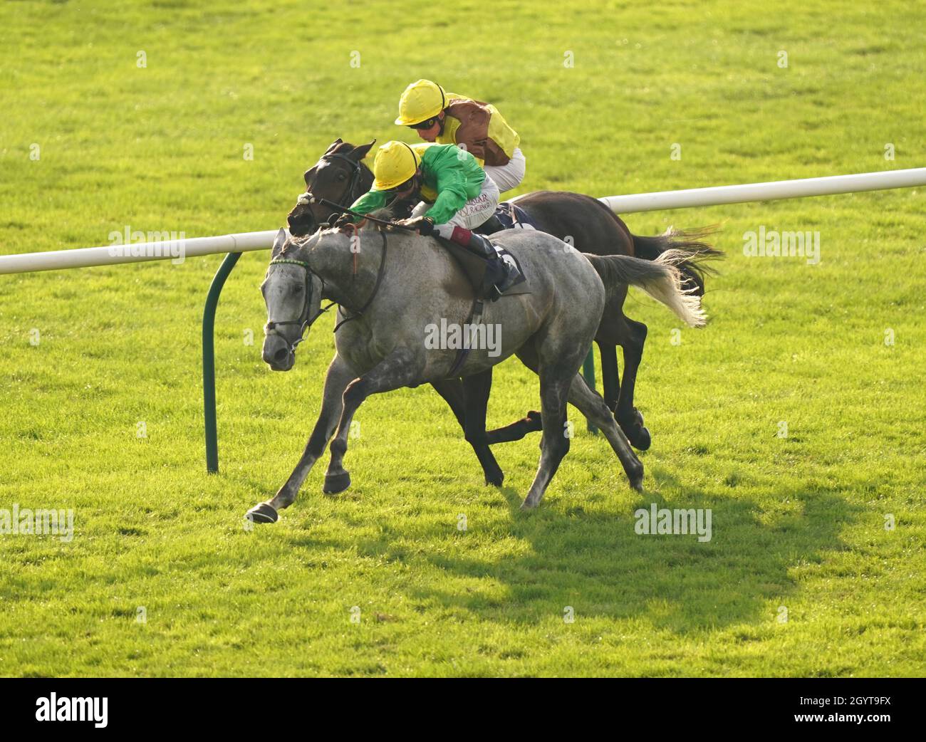 Buzz horse racing hi-res stock photography and images - Alamy