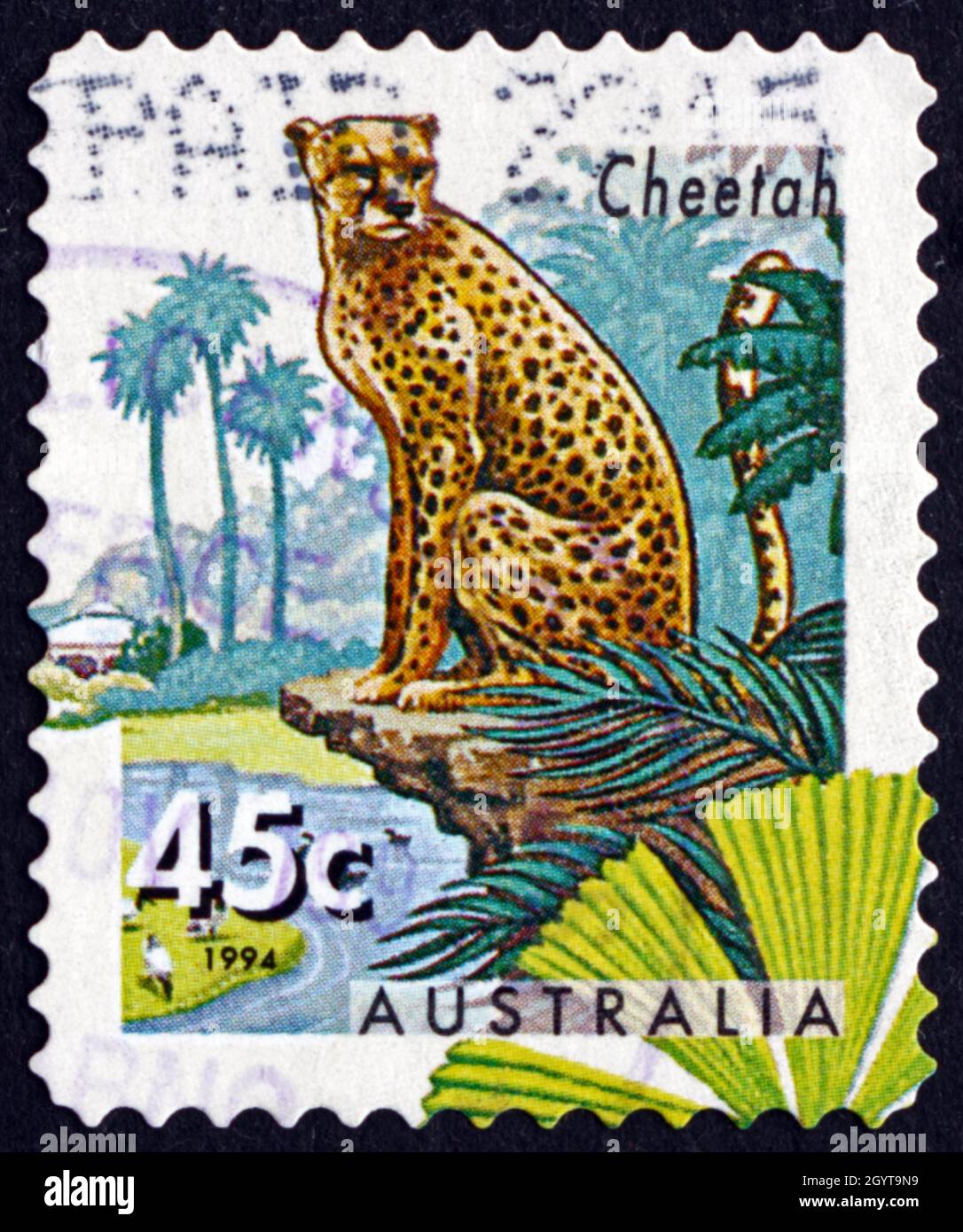 AUSTRALIA - CIRCA 1994: a stamp printed in Australia shows Cheetah ...