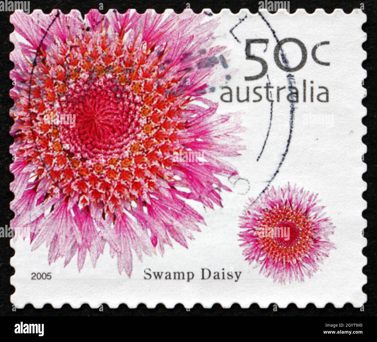 AUSTRALIA - CIRCA 2005: a stamp printed in Australia shows Swamp Daisy ...